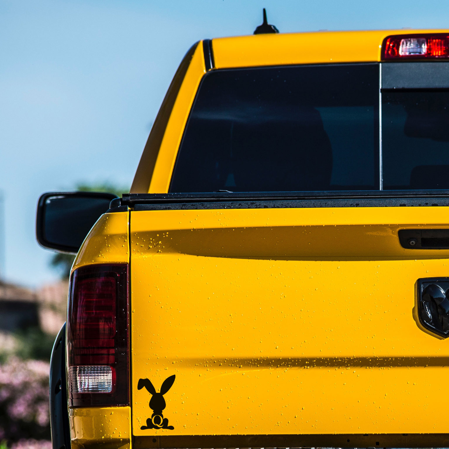 QRabbit Vinyl Sticker - Qanon 'Follow the White Rabbit' | Exclusive ...